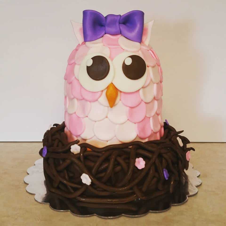 3D Cakes | 457 Cake | Fargo Moorhead Cake Decorator